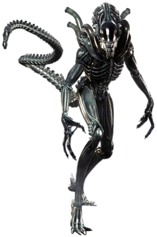 Xenomorph | Episodes and Movies Wiki | Fandom