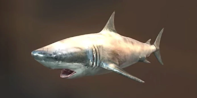 Shark - Official Epoch Mod Wiki