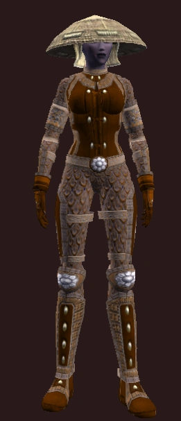 Bodyguard's (Armor Set) | EverQuest 2 Wiki | Fandom