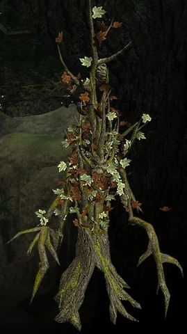 Treah Greenroot | EverQuest 2 Wiki | Fandom