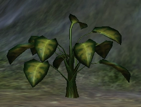 Nadavir's Golden Eggs | EverQuest 2 Wiki | Fandom