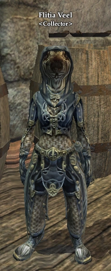 Category:Collector (NPC Type) | EverQuest 2 Wiki | Fandom