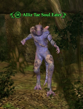 Alliz Tae Soul Eater | EverQuest 2 Wiki | Fandom