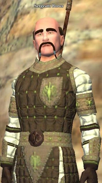Sergeant Borus | EverQuest 2 Wiki | Fandom