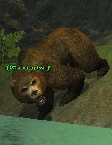 A hungry bear | EverQuest 2 Wiki | Fandom