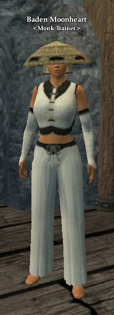 Category:Monk Trainer (NPC Type) | EverQuest 2 Wiki | Fandom