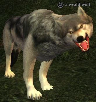 A weald wolf | EverQuest 2 Wiki | Fandom