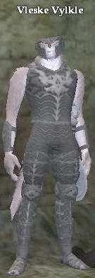 Vleske Vylkle | EverQuest 2 Wiki | Fandom