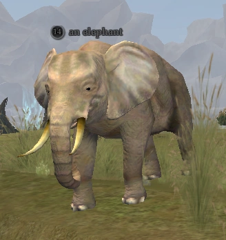 an elephant | EverQuest 2 Wiki | Fandom