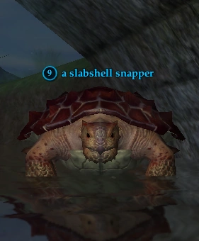 A slabshell snapper | EverQuest 2 Wiki | Fandom
