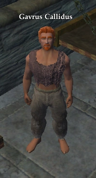 Gavrus Callidus | EverQuest 2 Wiki | Fandom