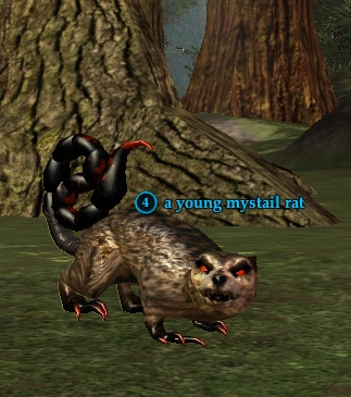 A young mystail rat | EverQuest 2 Wiki | Fandom
