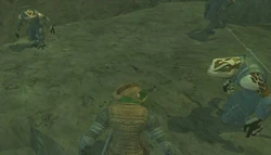 Frogloks - The Long Journey Home | EverQuest 2 Wiki | Fandom