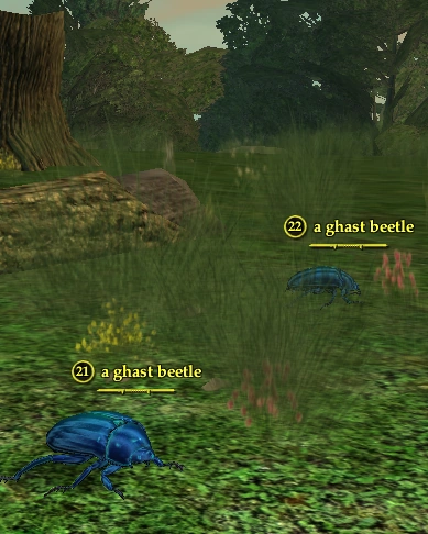 a ghast beetle | EverQuest 2 Wiki | Fandom
