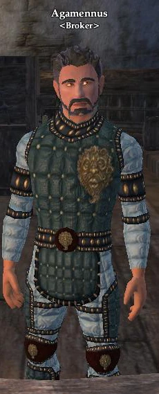 Category:The City of Freeport Broker NPCs | EverQuest 2 Wiki | Fandom