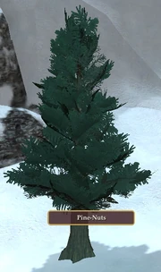 Inheriting Family | EverQuest 2 Wiki | Fandom