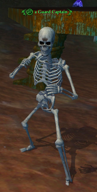 A Guard Captain | EverQuest 2 Wiki | Fandom