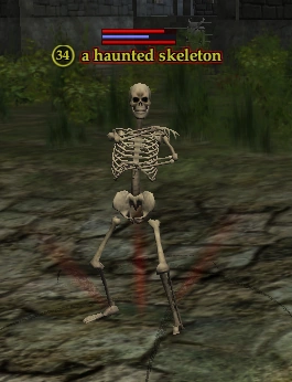 A haunted skeleton | EverQuest 2 Wiki | Fandom