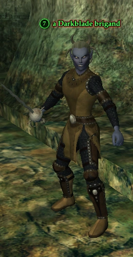 A Darkblade brigand | EverQuest 2 Wiki | Fandom