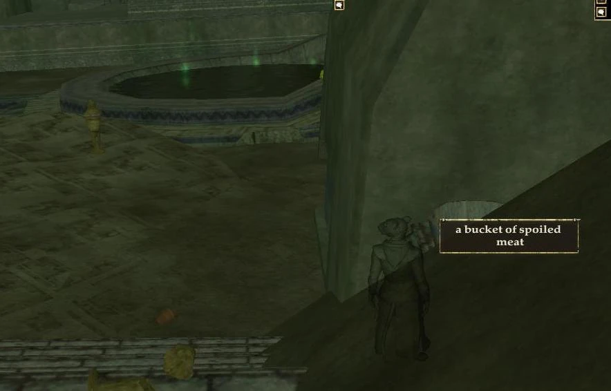 a bucket of spoiled meat | EverQuest 2 Wiki | Fandom