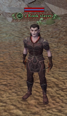 A Rook slayer | EverQuest 2 Wiki | Fandom