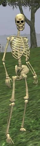 A decaying skeleton | EverQuest 2 Wiki | Fandom
