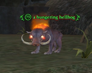 A hungering hellhog | EverQuest 2 Wiki | Fandom