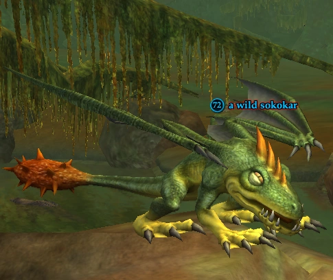 a wild sokokar | EverQuest 2 Wiki | Fandom