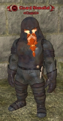 Guard Stonefist | EverQuest 2 Wiki | Fandom