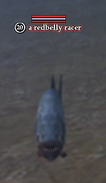 A redbelly racer | EverQuest 2 Wiki | Fandom