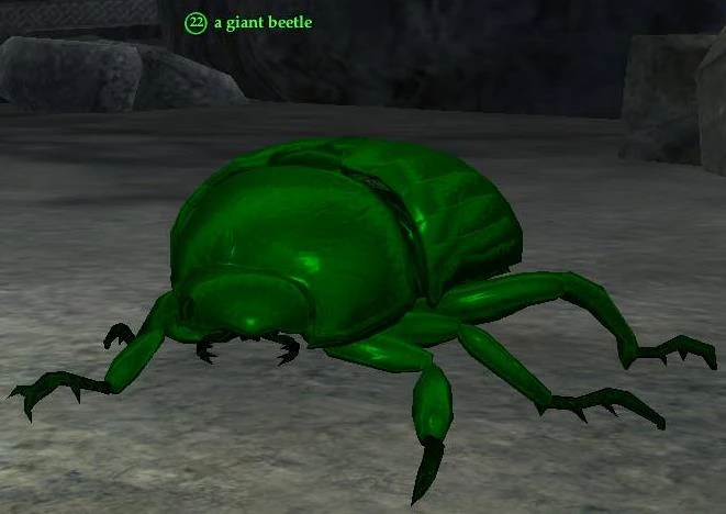 A giant beetle | EverQuest 2 Wiki | Fandom