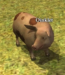 Oinklet | EverQuest 2 Wiki | Fandom