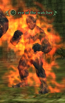eye of the watcher | EverQuest 2 Wiki | Fandom