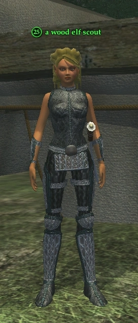 A wood elf scout | EverQuest 2 Wiki | Fandom