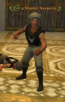 a Master Assassin | EverQuest 2 Wiki | Fandom