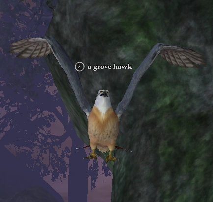 A grove hawk | EverQuest 2 Wiki | Fandom