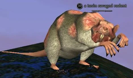 A toxin ravaged rodent | EverQuest 2 Wiki | Fandom