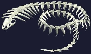 Cobra Skeleton
