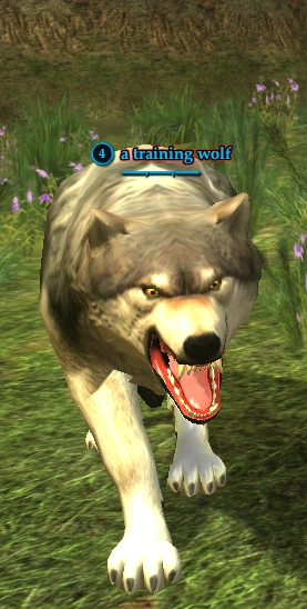 A training wolf | EverQuest 2 Wiki | Fandom