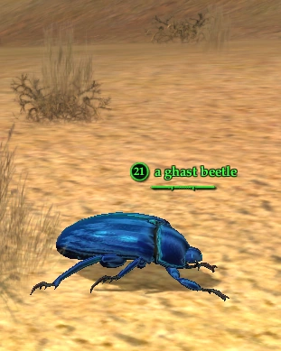 a ghast beetle | EverQuest 2 Wiki | Fandom