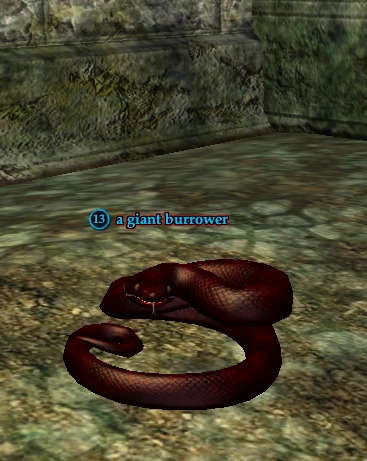 A giant burrower | EverQuest 2 Wiki | Fandom