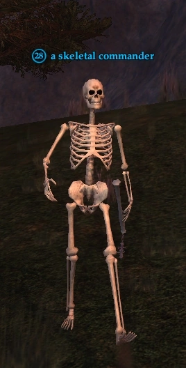 a skeletal commander | EverQuest 2 Wiki | Fandom