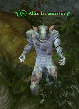 Alliz Tae assassin | EverQuest 2 Wiki | Fandom