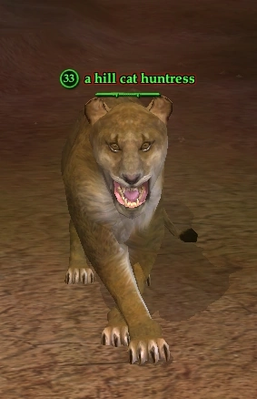 A hill cat huntress | EverQuest 2 Wiki | Fandom