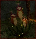 Advanced Botany: Facing the Feerrott | EverQuest 2 Wiki | Fandom