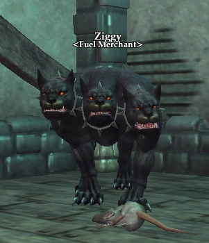 Renfry's Basement | EverQuest 2 Wiki | Fandom