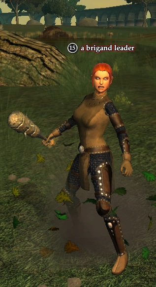 A brigand leader | EverQuest 2 Wiki | Fandom