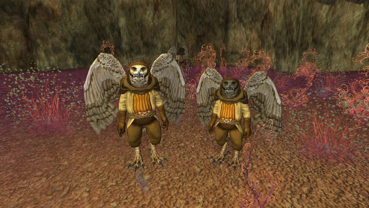 The Windgazer (Faction) | EverQuest 2 Wiki | Fandom