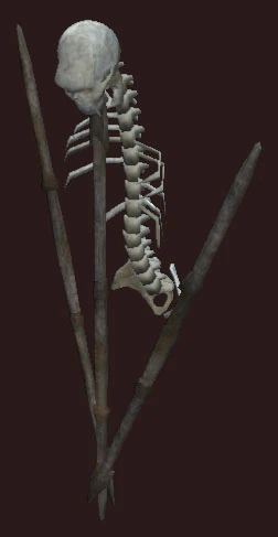 Threatening Skeleton Display | EverQuest 2 Wiki | Fandom