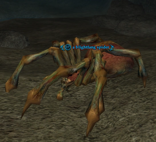 A blightfang spider | EverQuest 2 Wiki | Fandom